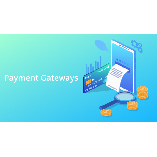 Custom Payment Gateway